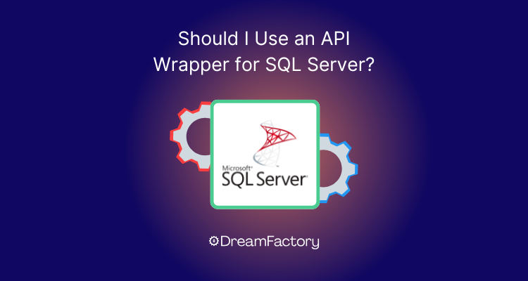 Should I Use an API Wrapper for SQL Server?